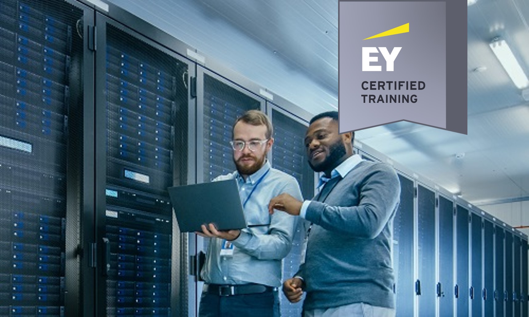 Podstawy prowadzenia audytów IT - Platforma e-learningowa Ernst & Young